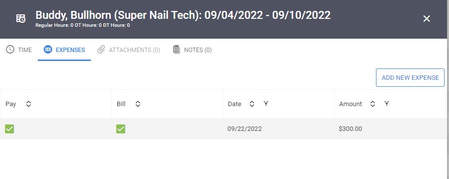 Adding Expenses to an Existing Timesheet